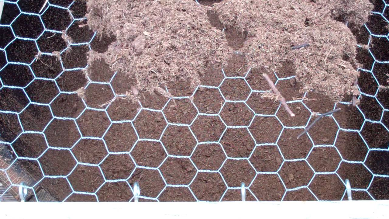 Filter twigs out of sphagnum peat oss - YouTube