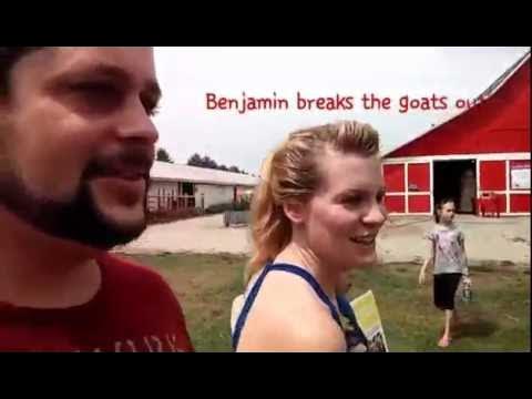 WHO LET THE GOATS OUT!?!? - YouTube