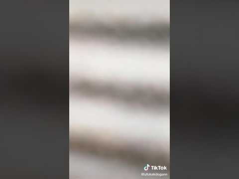 مقاطع حالات واتساب