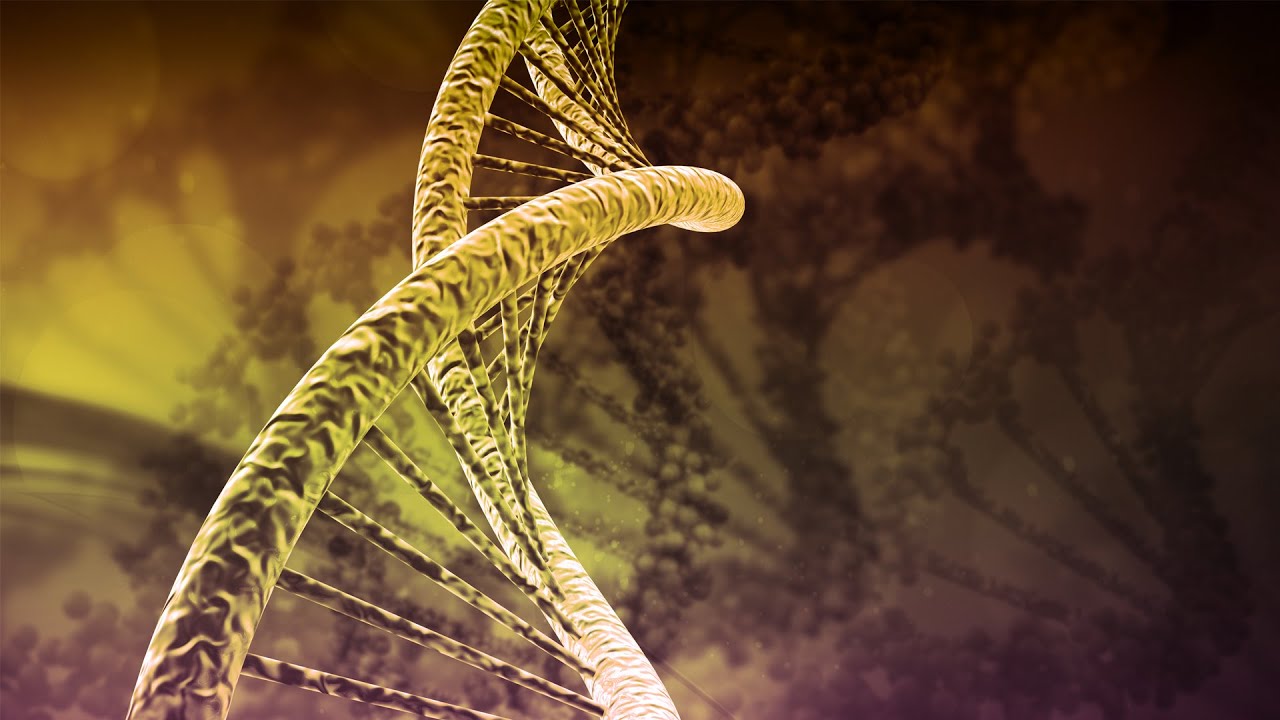 Tracing DNA From The First Americans - YouTube