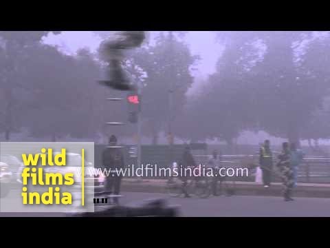 Daredevil stunts of motorcycle riders - YouTube