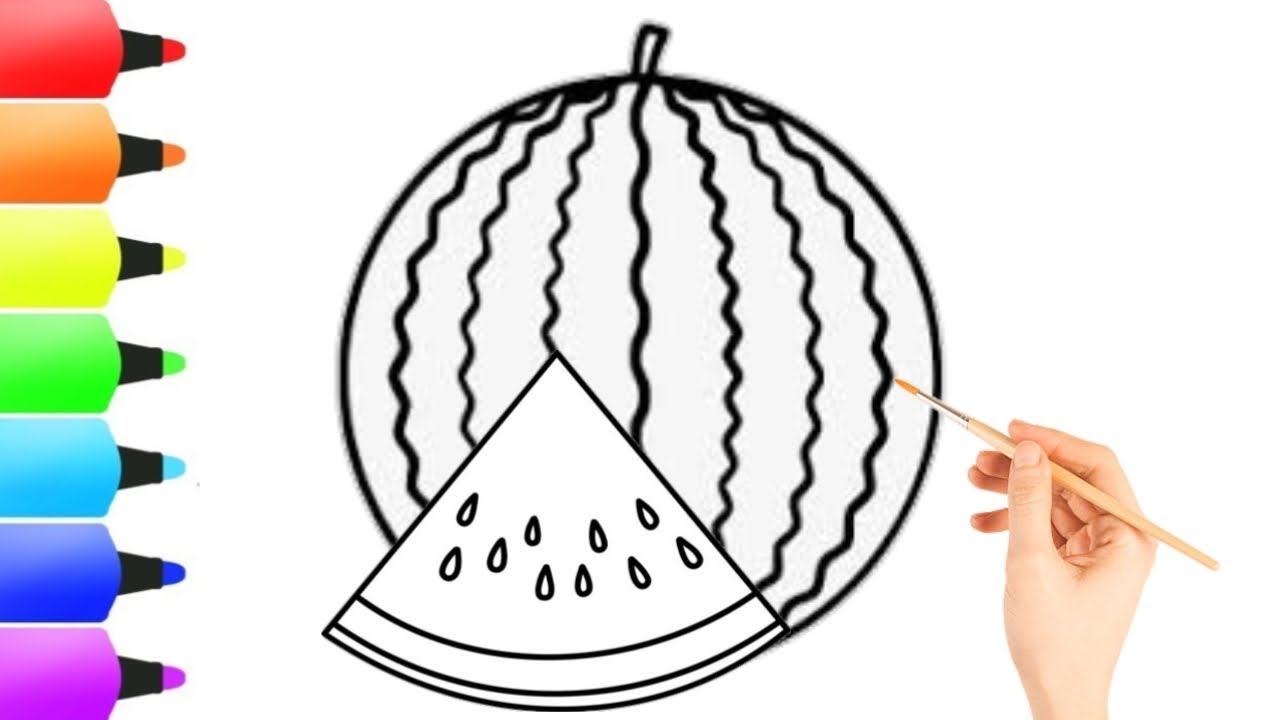 How to draw watermelon easy step by step,and colouring, watermelon ...