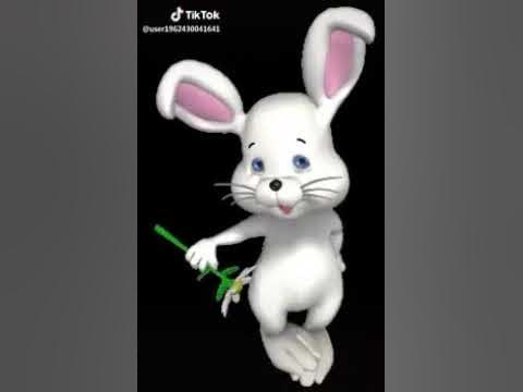 Мой зайка танцует - YouTube