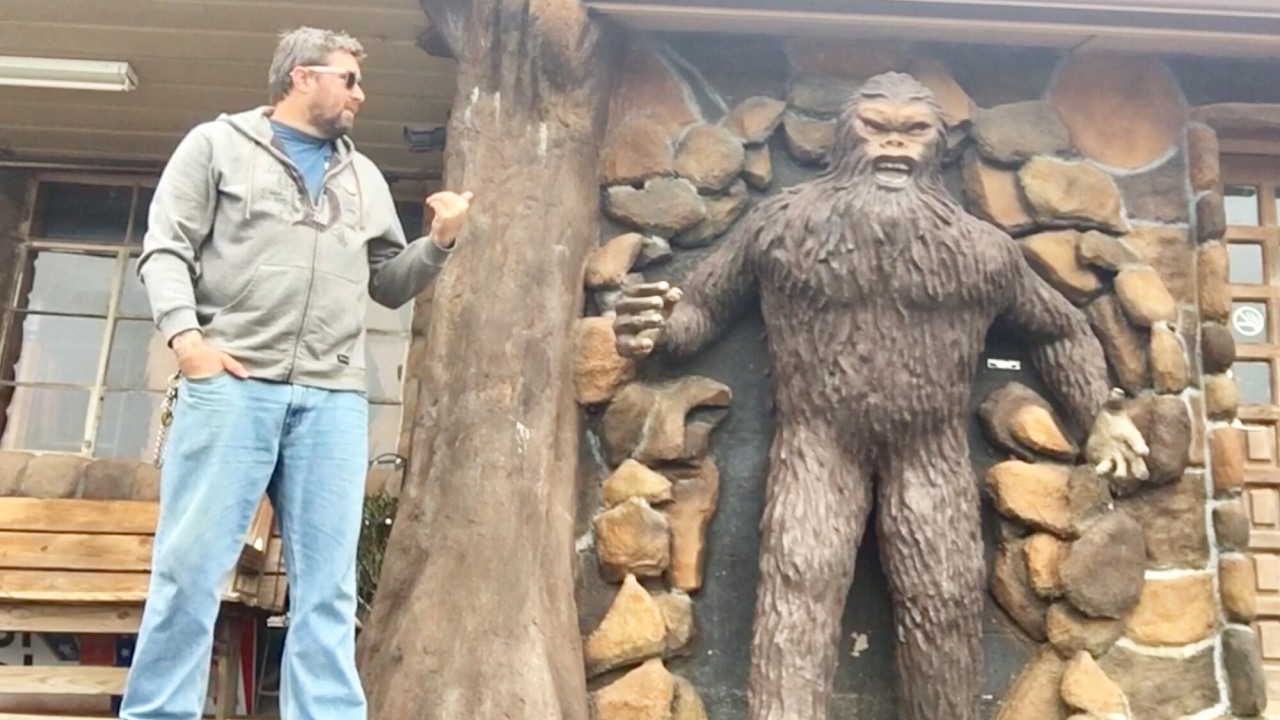 TDW 1695 - The Legend Of Boggy Creek Monster - YouTube