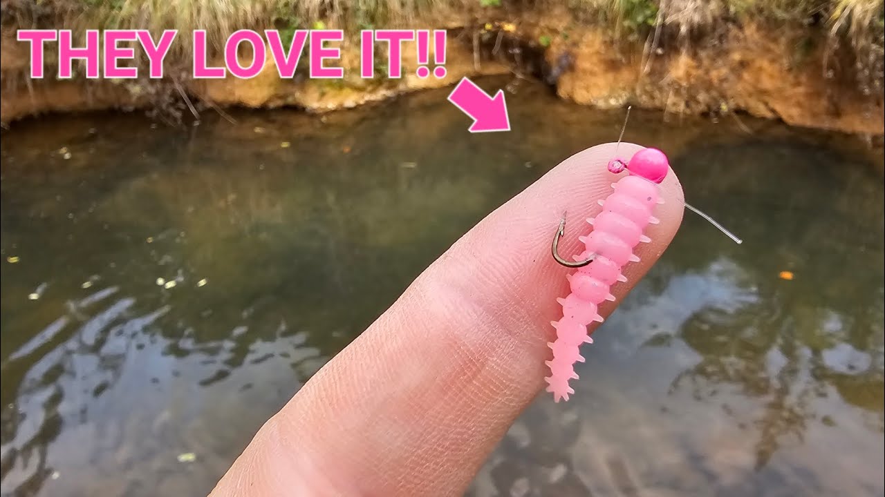 CATCHING MONSTER TROUT ON THIS TINY LURE || Ultra Finesse Fishing ...