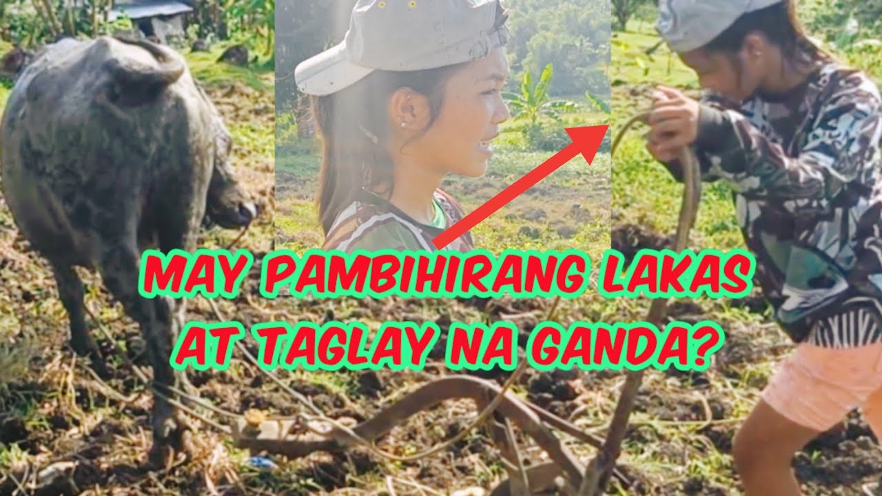 15-ANYOS NA DALAGA NAGAARARO, TUMIGIL SA PAG-AARAL PARA MAKATULONG SA ...