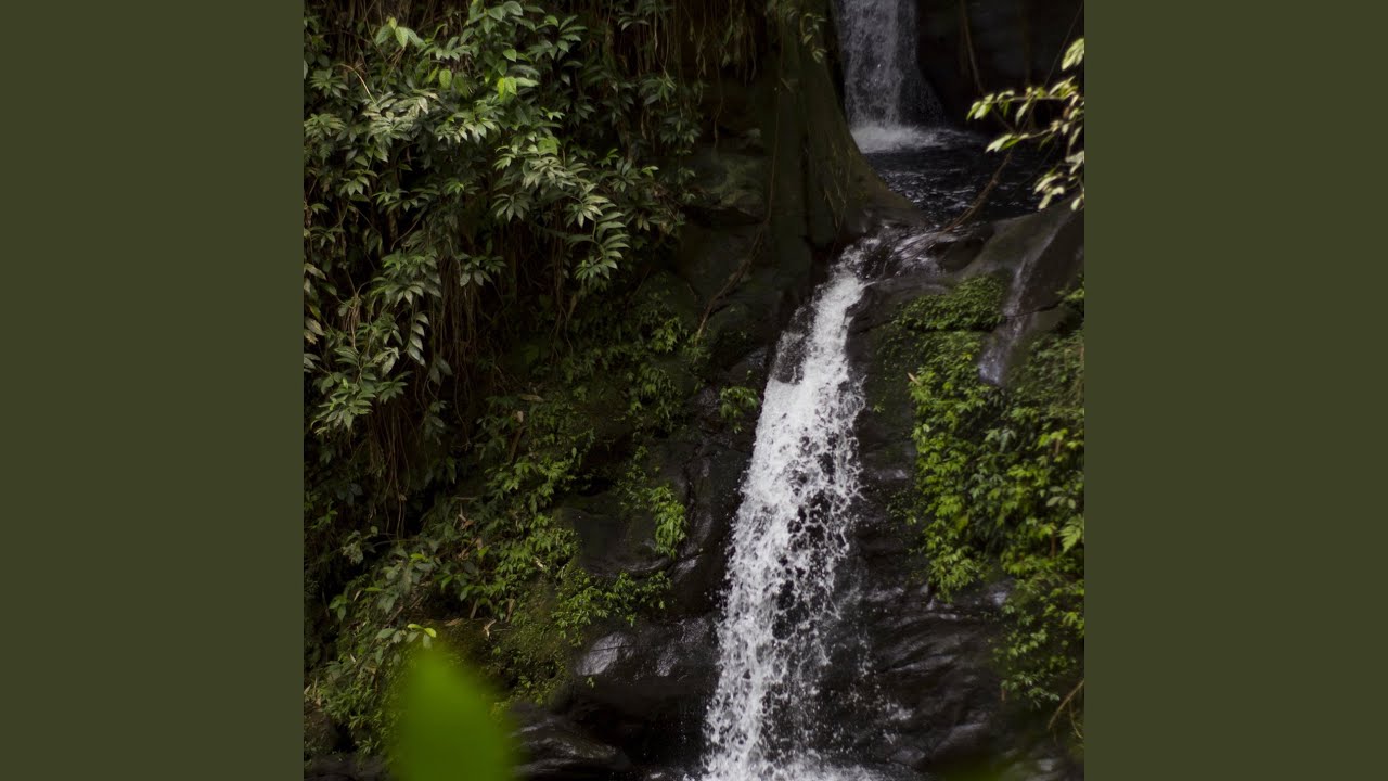 I See Land - YouTube