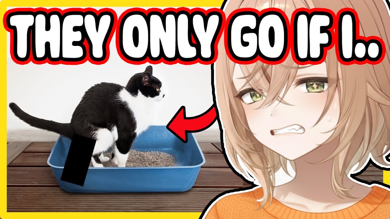 Nimi's Cats Want Her To Watch While They User The Litter Box - YouTube