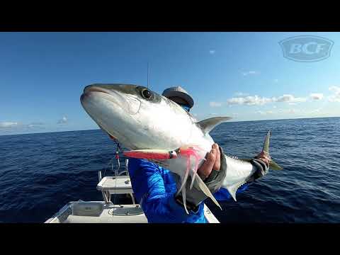 Savage Gear 3D Swim Squid Jig - BCF