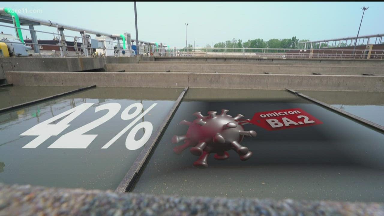 Expert discusses 'stealth' variant in Minnesota - YouTube