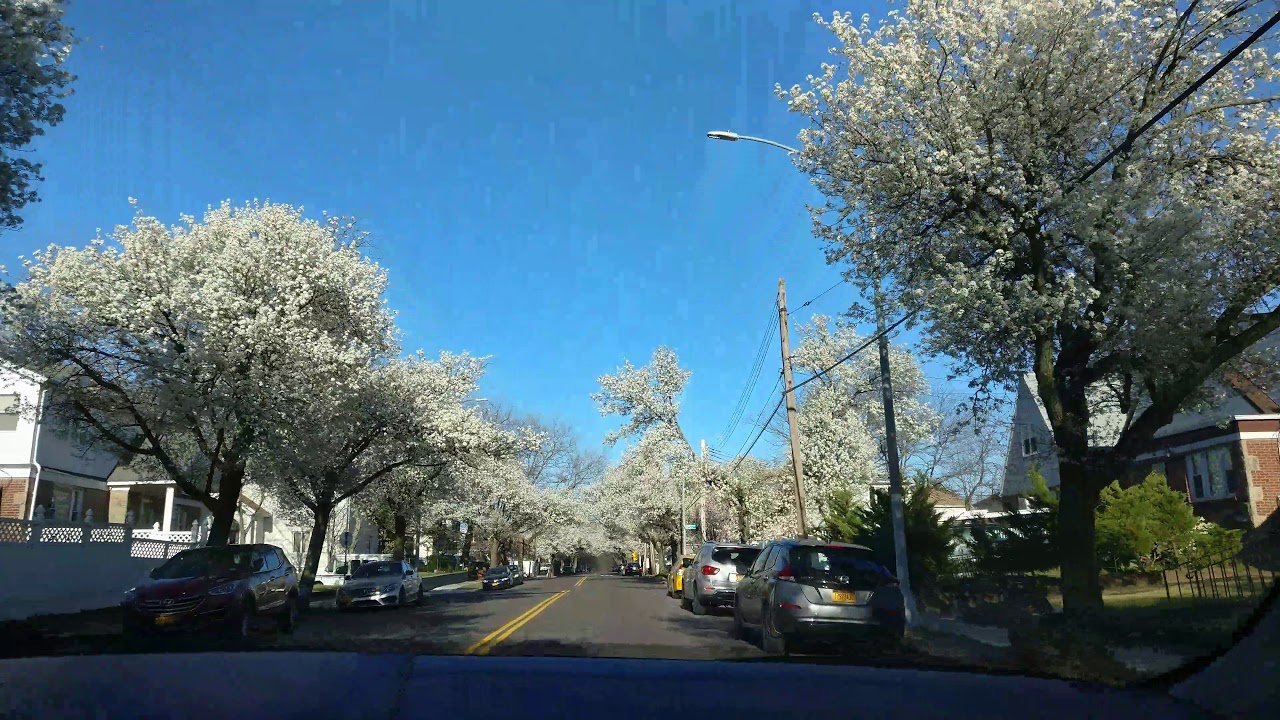 The white way of delight - YouTube
