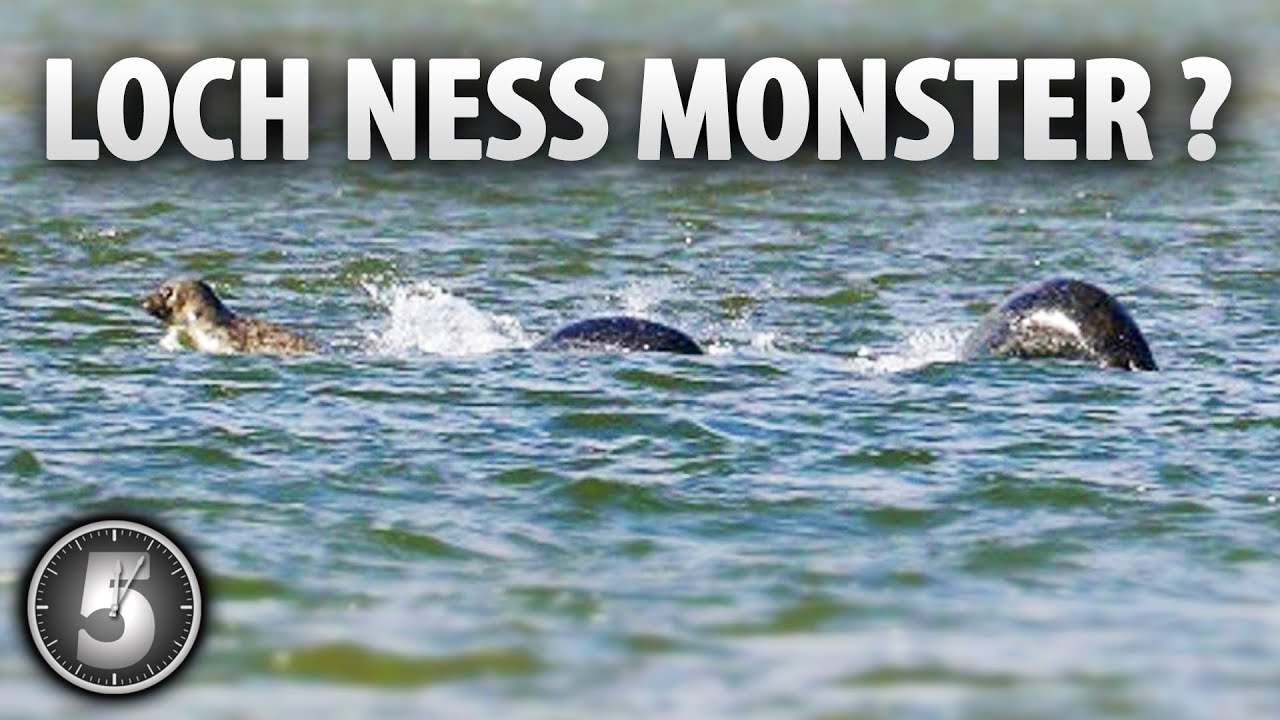 Clearest Photo Of LOCH NECH MONSTER? + Bruce Springsteen Concert Review ...