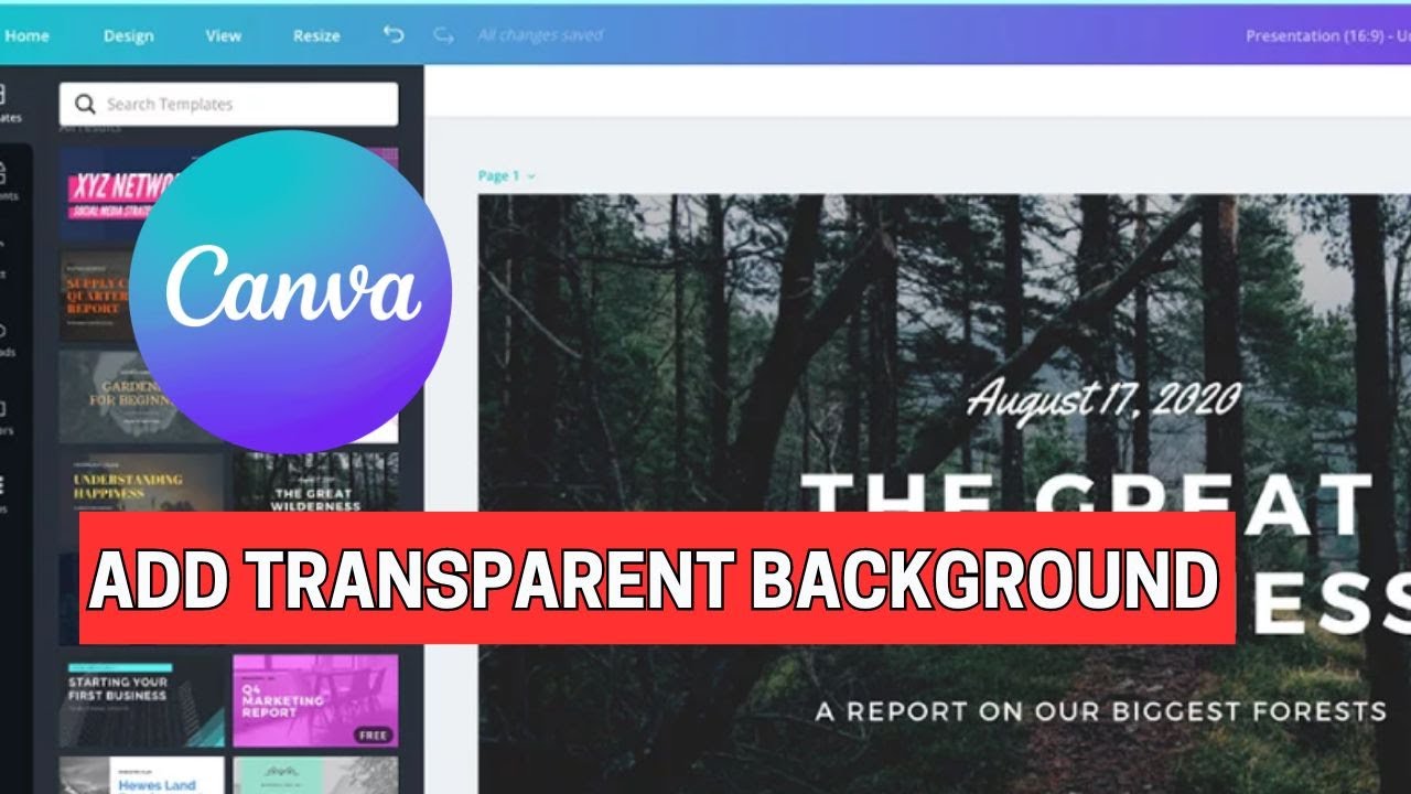 How to Add Transparent Background in Canva 2024? - YouTube