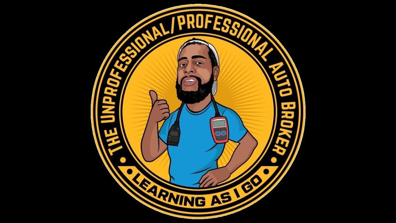Introduction to Unprofessional PROFESSIONAL YouTube Channel - YouTube