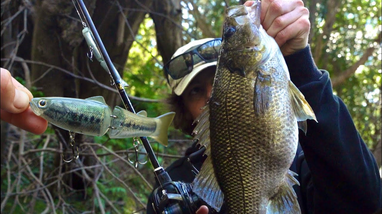 Glide Baiting Structure For BIG Aussie Bass! - YouTube