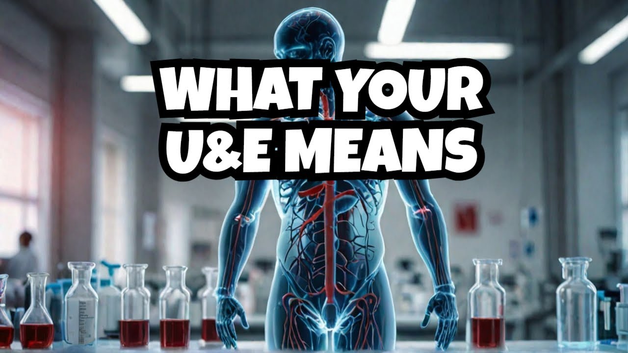 What Your U&E Blood Test Results REALLY Mean - YouTube