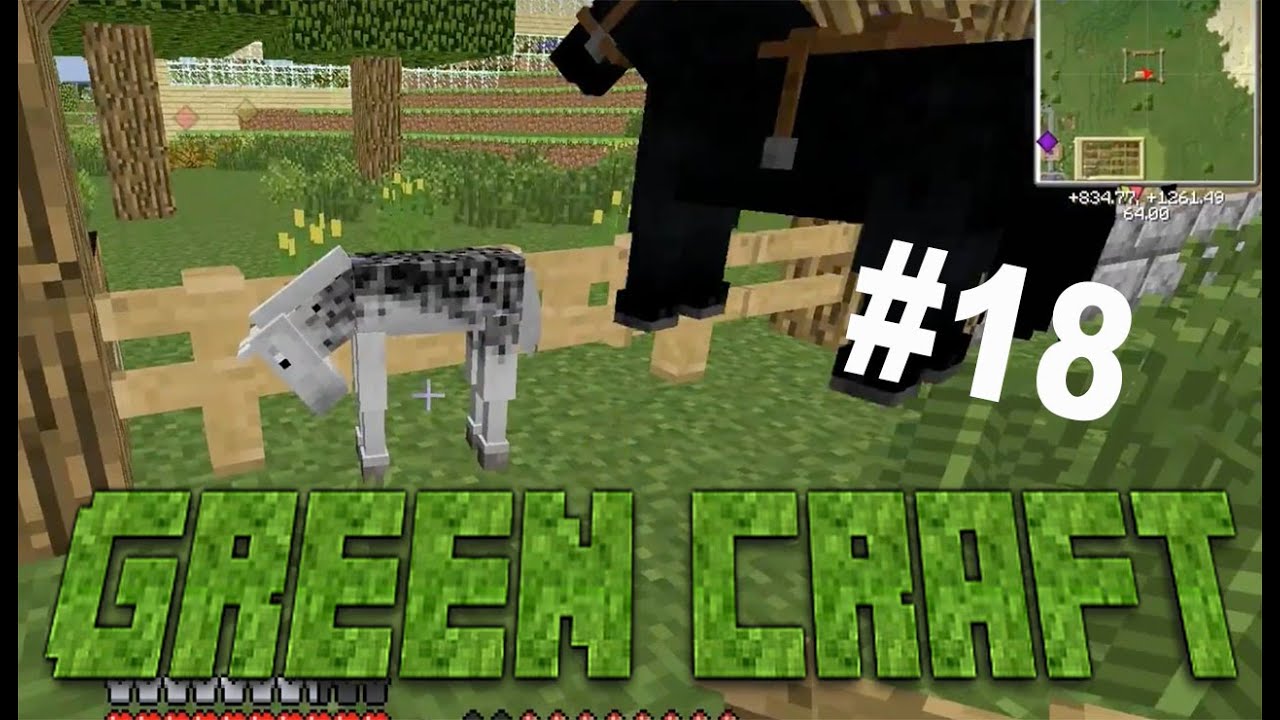 #18 HORSE BABIES TAKE 2 | Minecraft Survival Lets Play - YouTube
