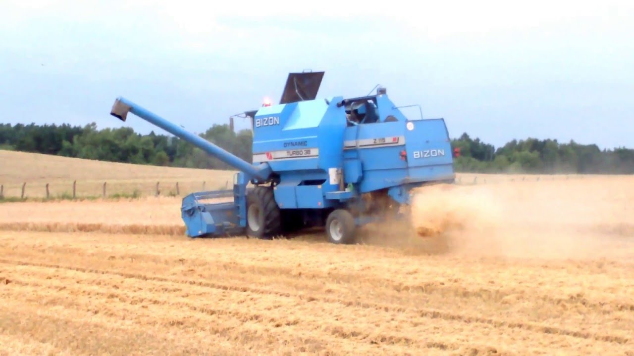 Bizon Dynamic - YouTube