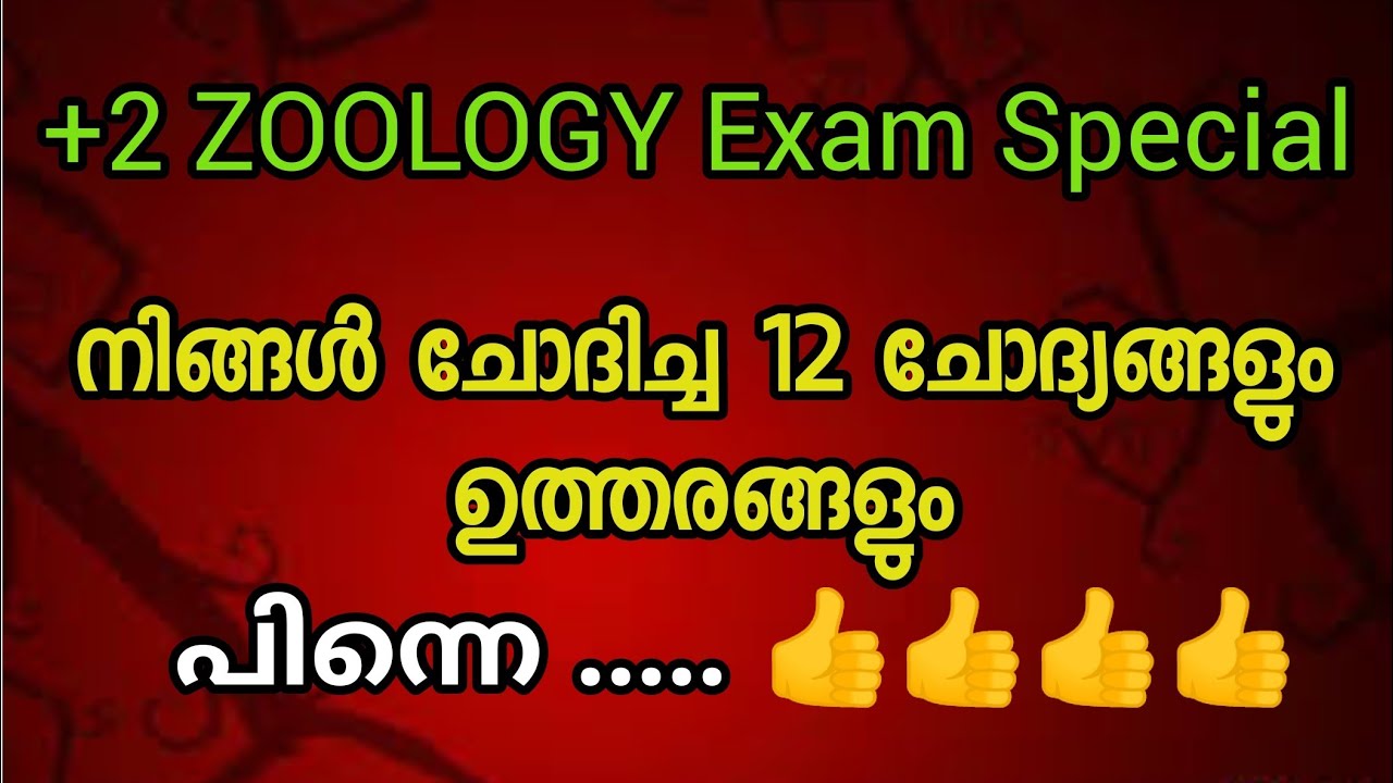 The Last Final 12 Questions And Answers All The Best YouTube the-last-final-12-questions-and-answers-all-the-best-youtube