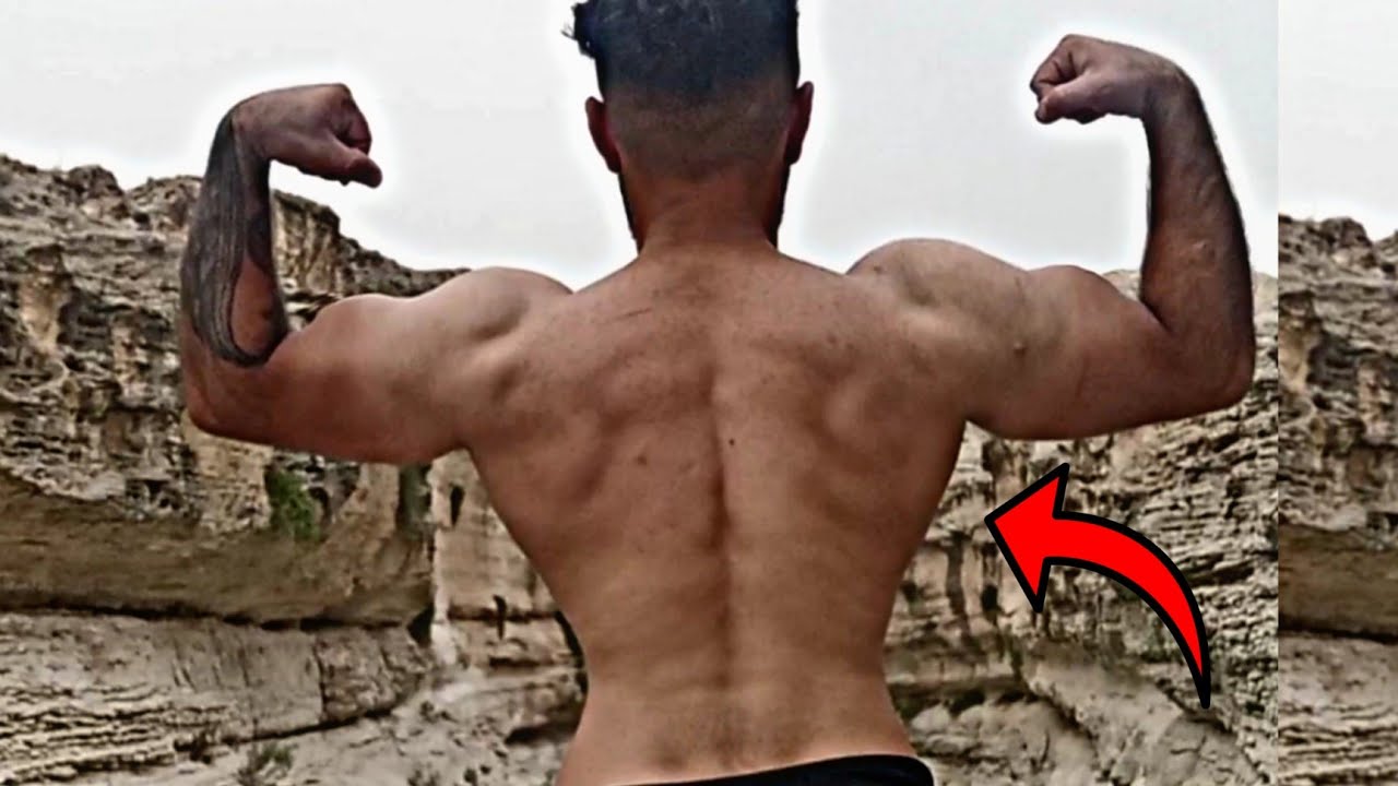 6 best back workout to get bigger back and Cut back muscles (No ...