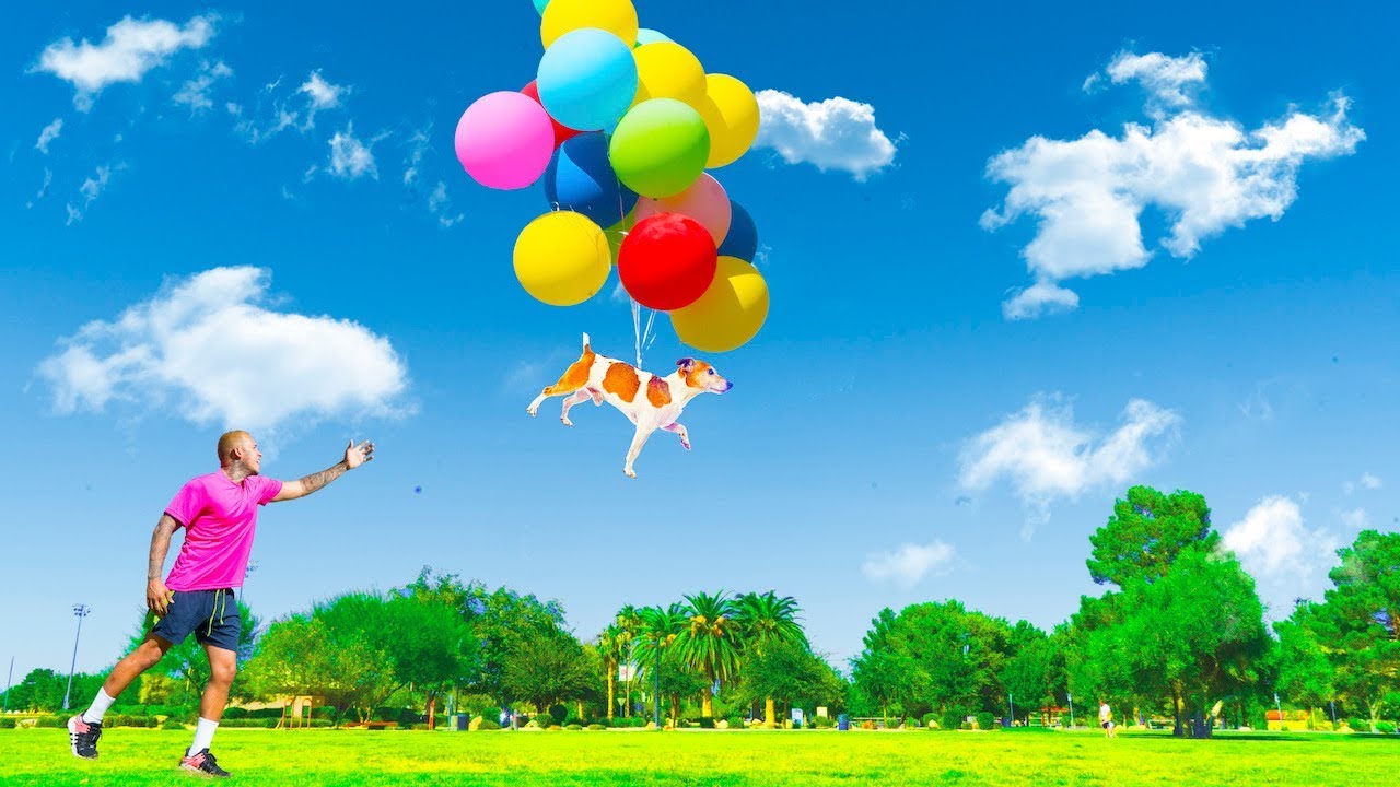 25 GIANT HELIUM BALLOONS TIED TO MY BEST FRIEND'S DOG PRANK! (1,000 Ft ...