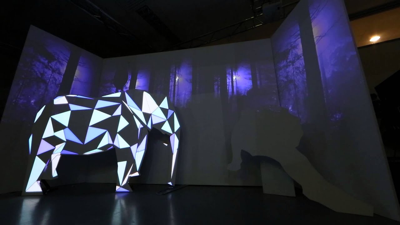 Night Safari Projection Mapping Showcase - YouTube