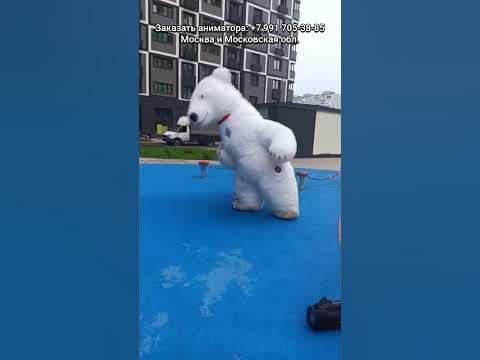 Белый мишка мило поздравил с Днём Рождения 🥰 #Shorts #праздник # ...