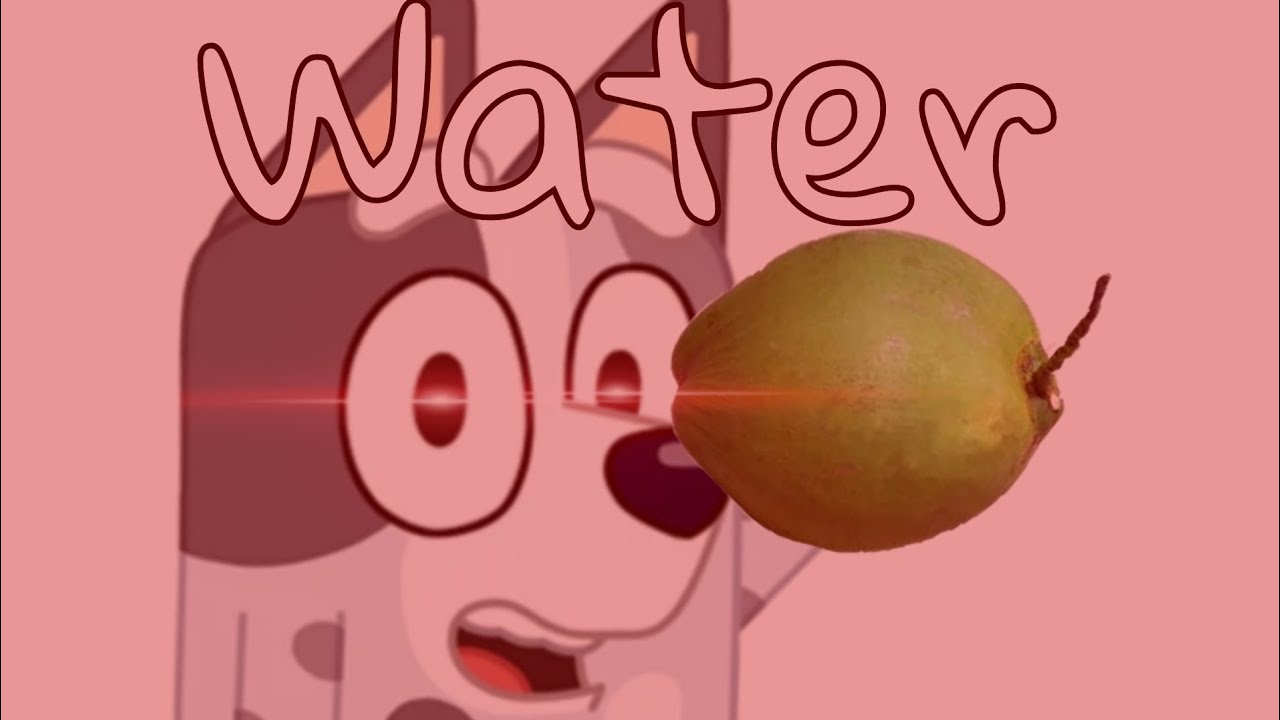 Bluey | Coconut 🥥 - YouTube