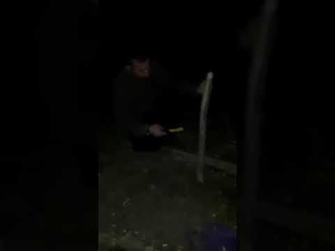 Korsan koyu ormanda son gece kamp ateşi