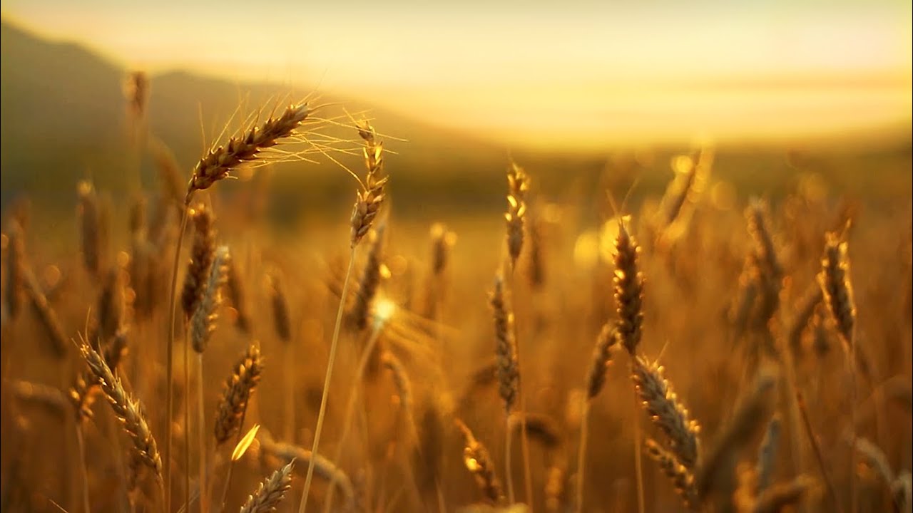 Soothingly Soft Nature Sounds | Fall Asleep Naturally | Peaceful ...