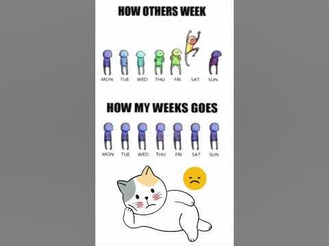 How's Your Week Going? #meme memes - YouTube