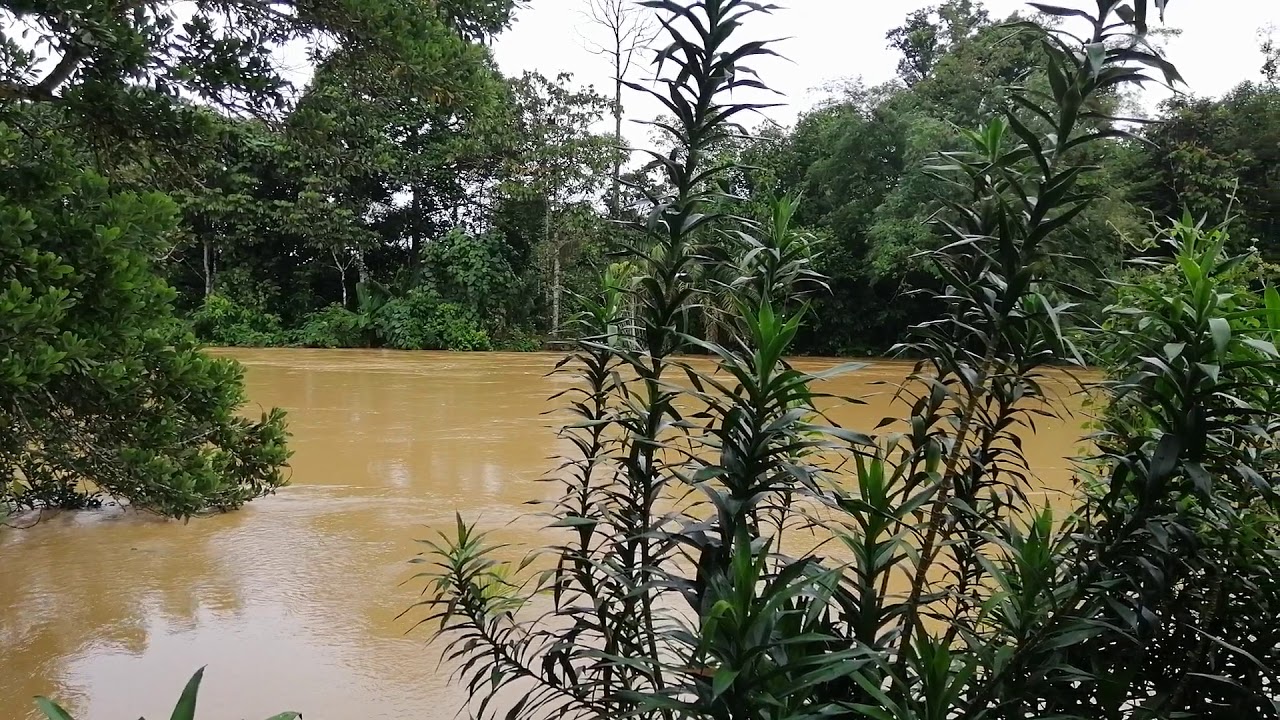 Flowing water of Balingian River - YouTube