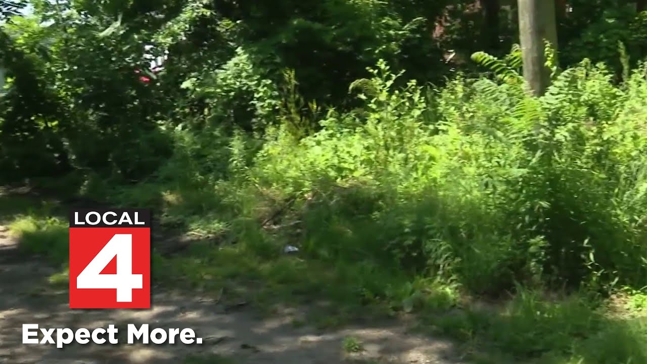 Neighborhood on Detroit's east side wants blight cleaned up - YouTube