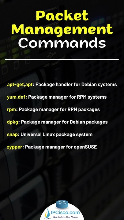 LINUX Free Command | Kali Linux Lessons | IPCisco.com - YouTube