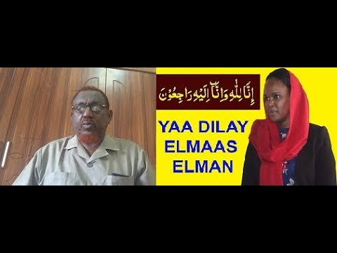 Xassan Daahir Aweys Almaas Elman waa ladilay ee ma ahan xabada wiifta ...