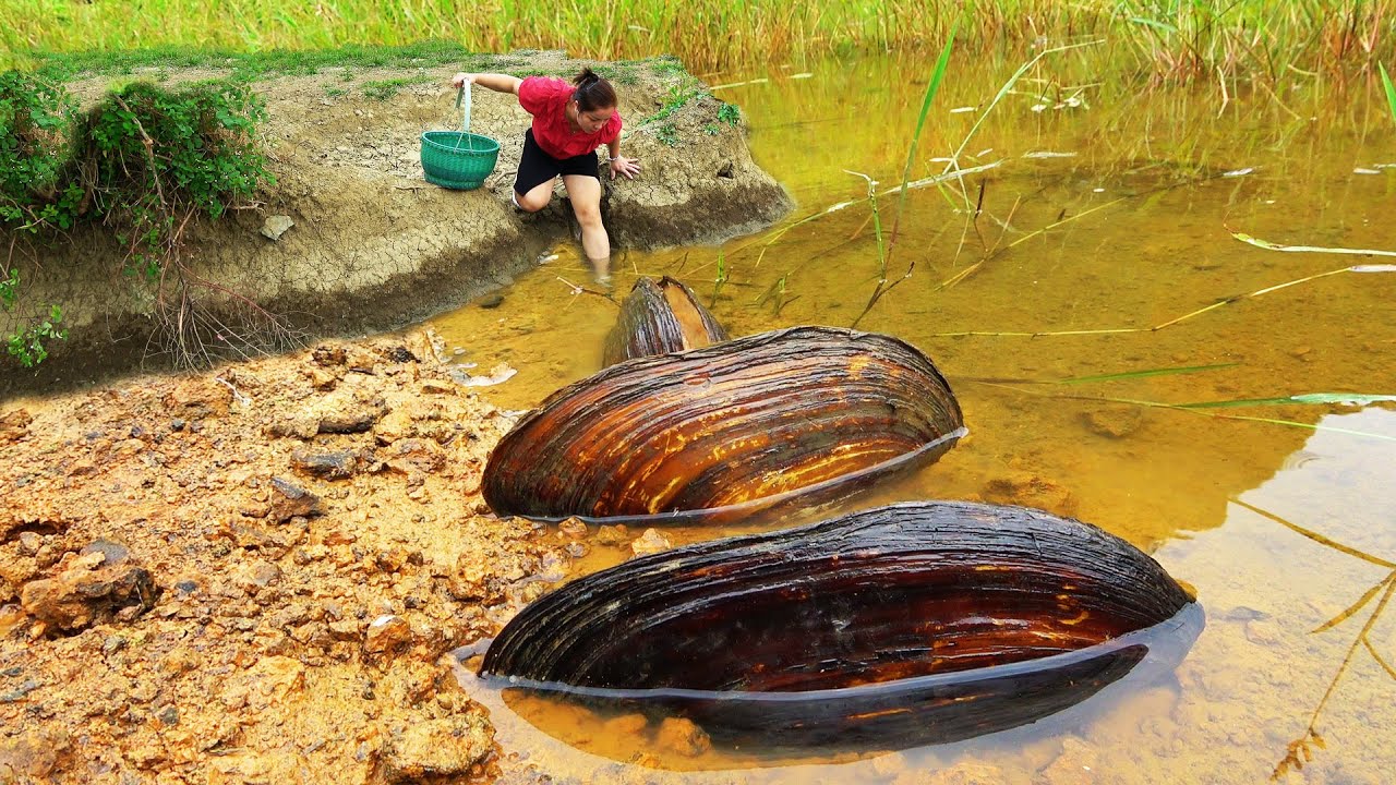 Mutated pearl clams gather in the water, as if guarding a huge treasure ...