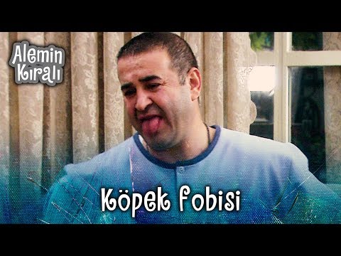 Aslan, köpekten korkuyor! | Alemin Kralı