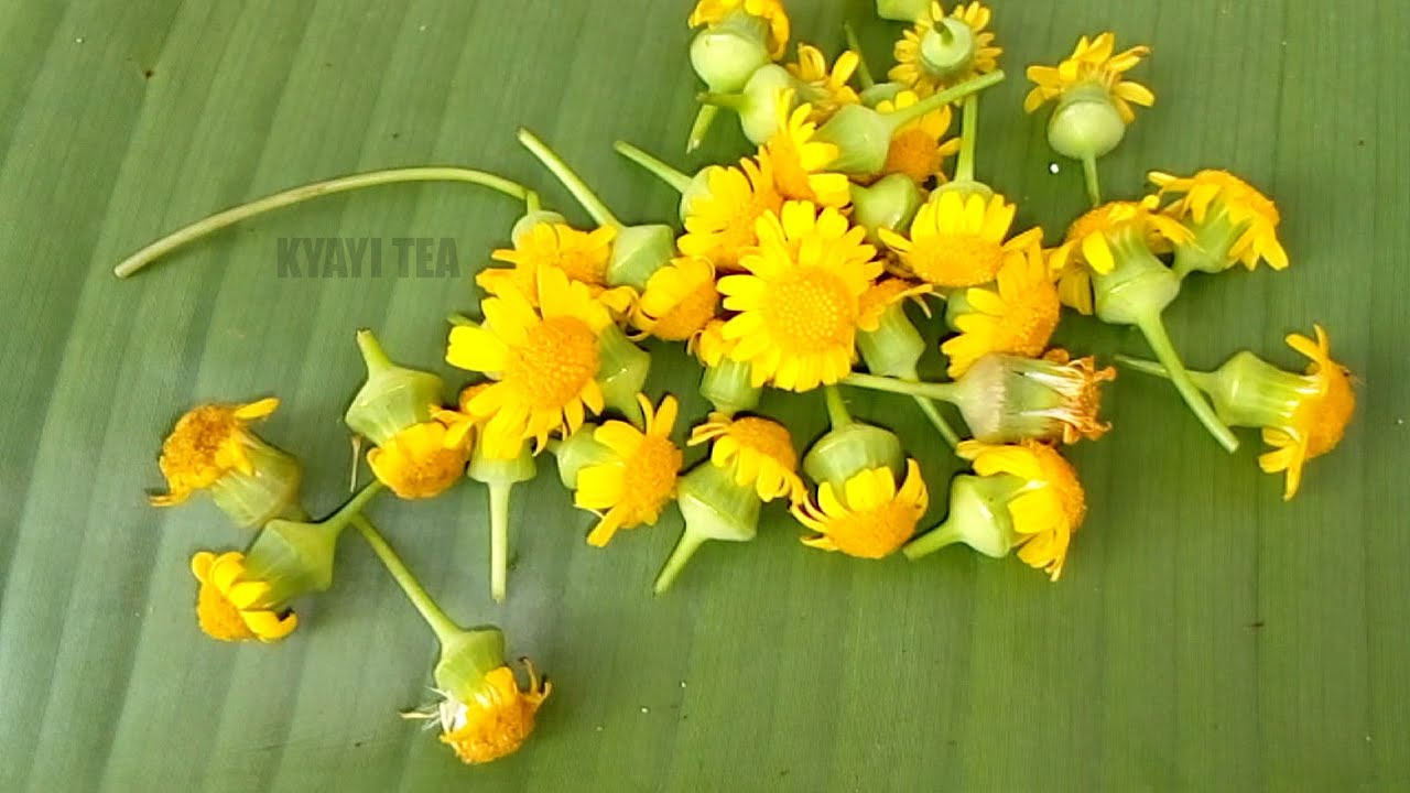 Okusimba Eddagala Ewaka Elyamakulu Mukasa Akaba Mutima Nnabugira ...