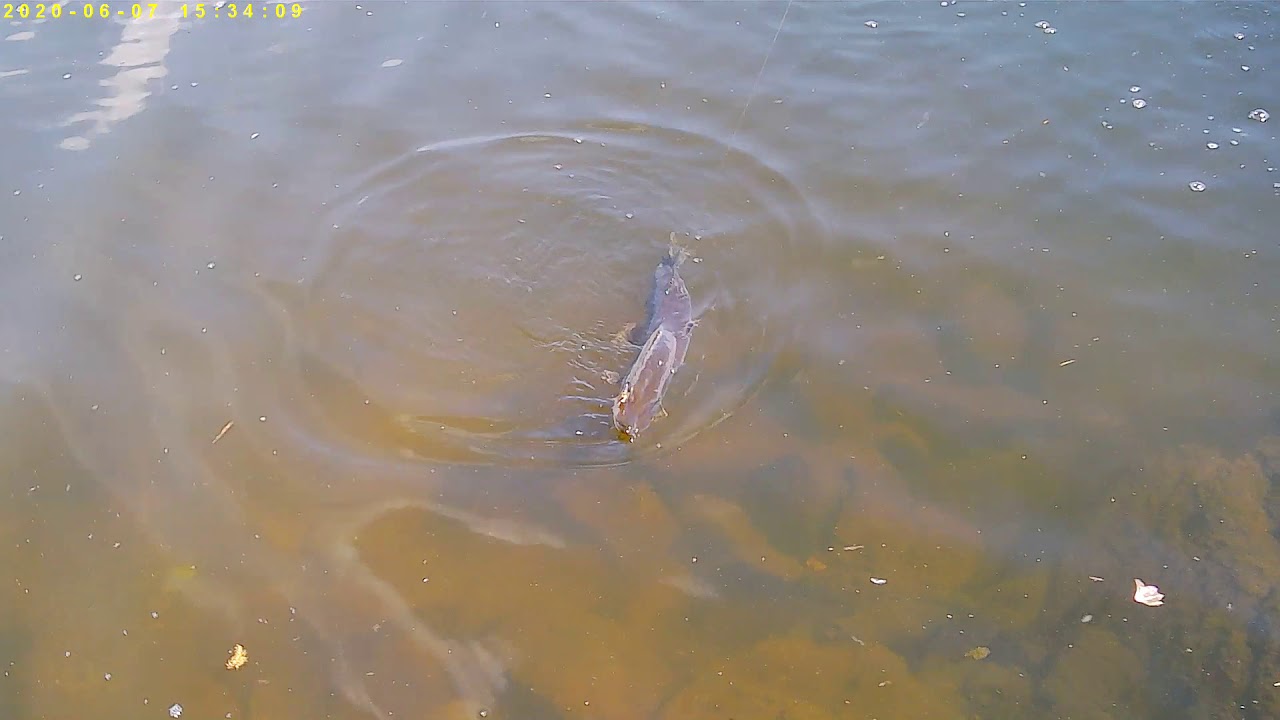 loch fad june 2020 - YouTube