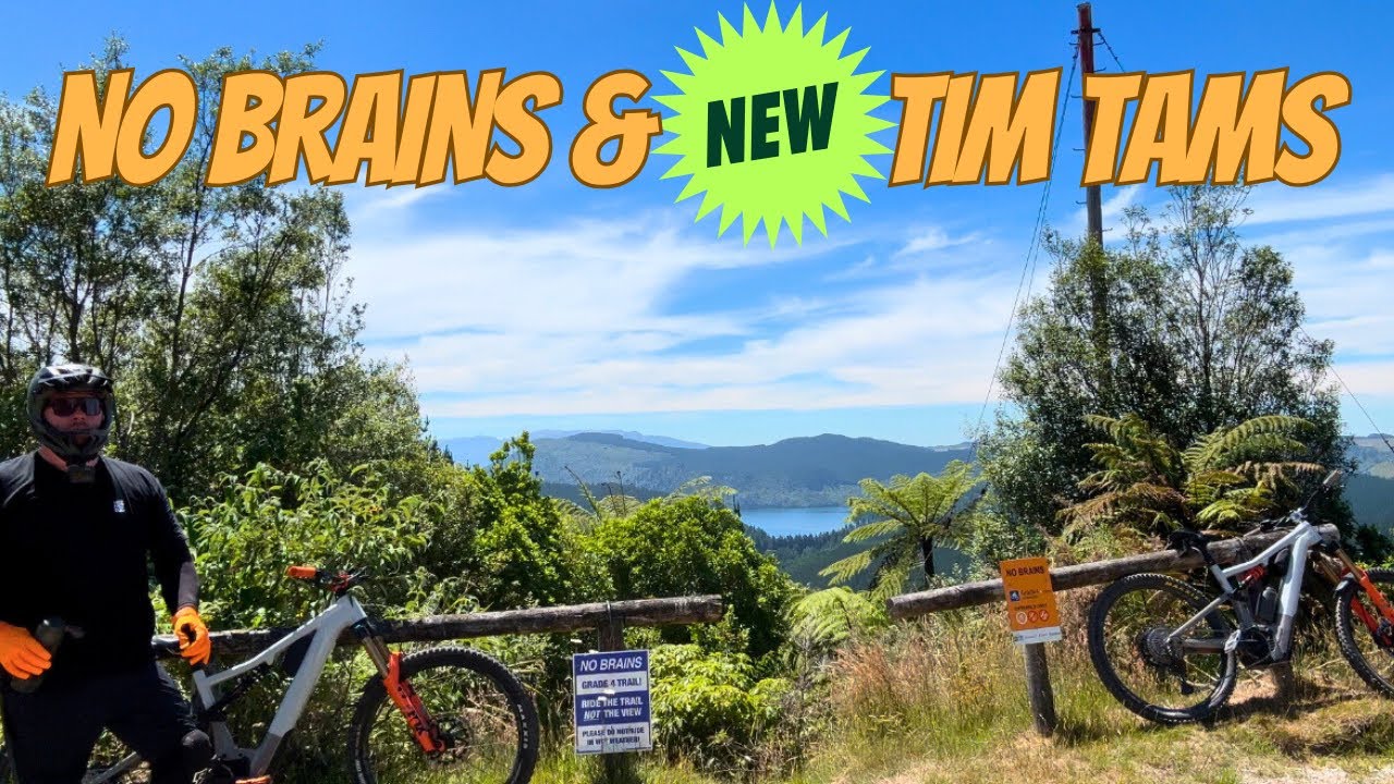 NO BRAINS & “NEW” TIM TAMS - YouTube