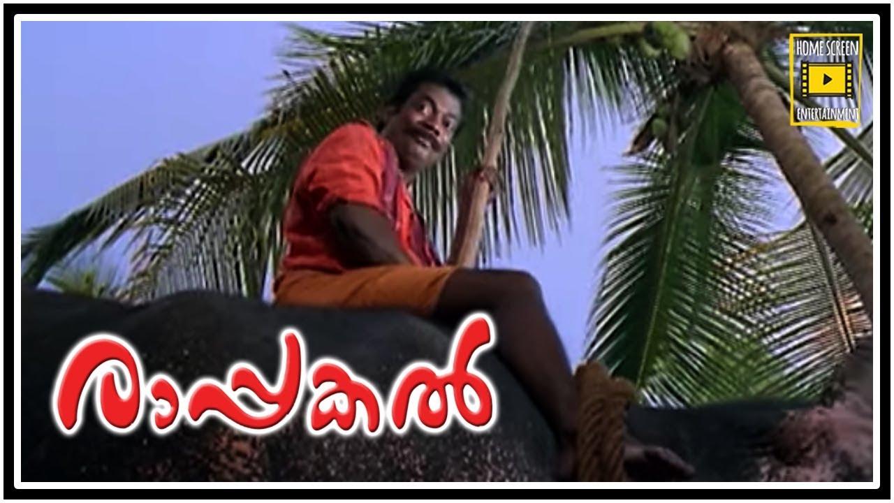Raappakal Malayalam Movie Scene 11 - YouTube