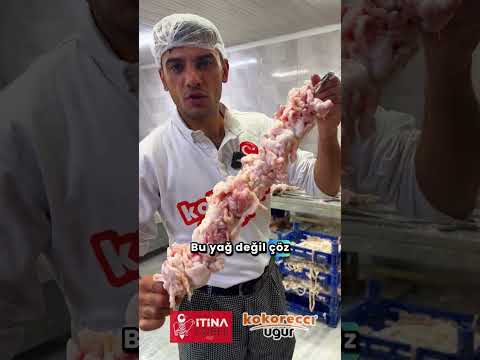 Türkiyenin En Büyük Kokoreç İmalathanesine Gittik :)  #kokoreççiuğur #kokoreç