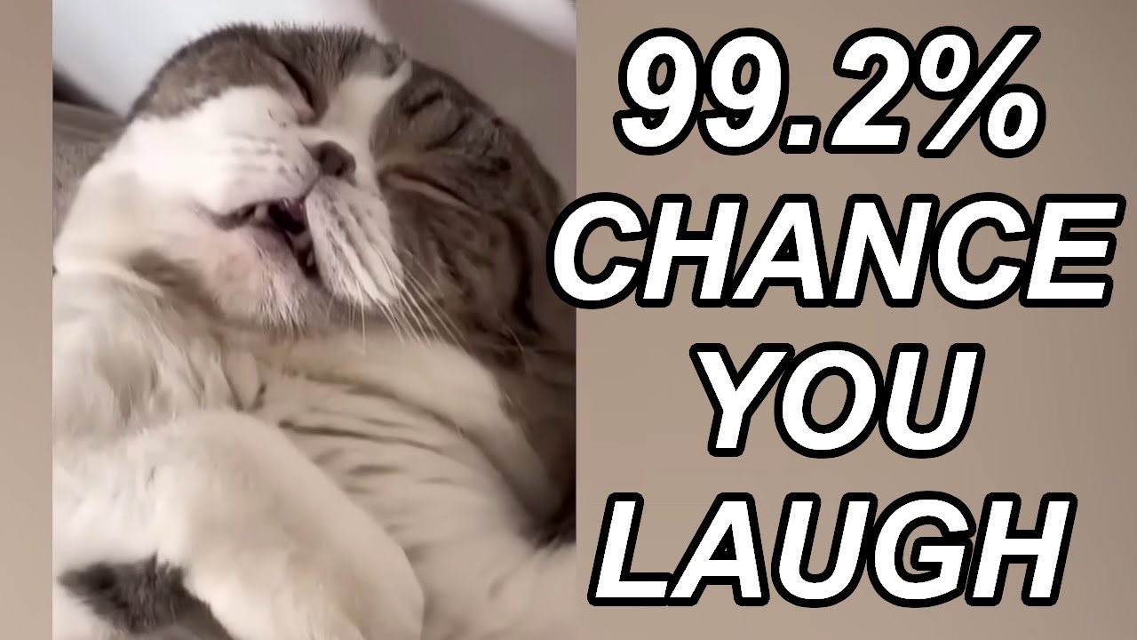 There's a 99.2% Chance you LAUGH while Watching this Video - YouTube