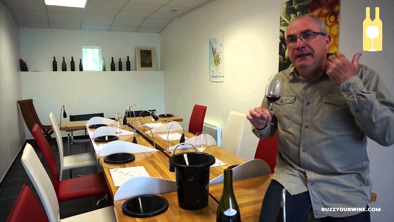 Coteaux Bourguignon Rouge 2012 - Domaine Verret - Buzzyourwine - YouTube