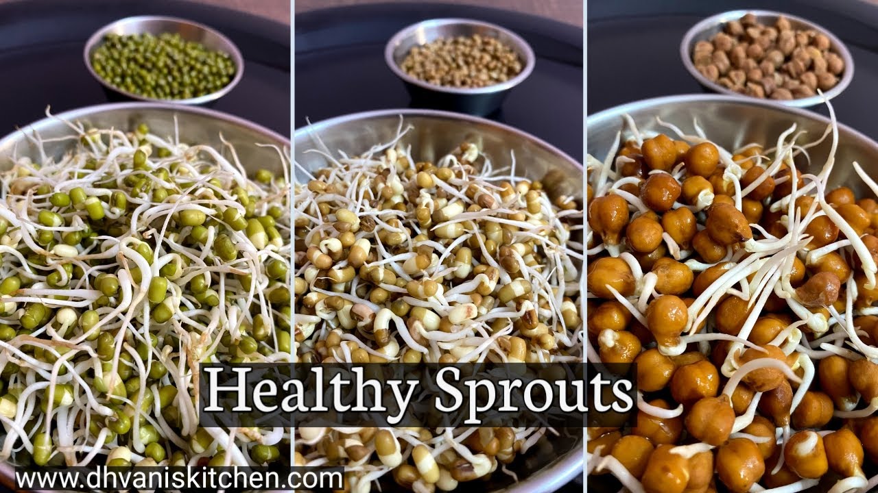 how to make sprouts | sprouts | how to grow sprouts | process of making ...