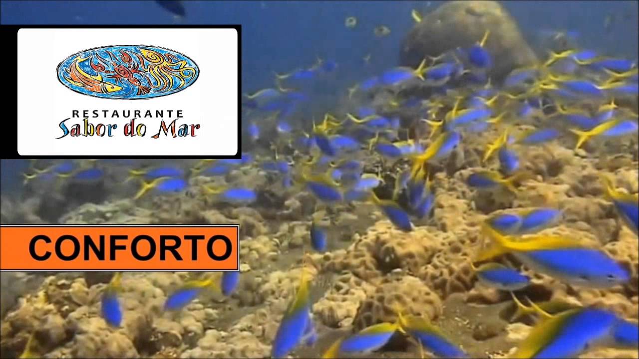 Comercial restaurante sabor do mar - YouTube