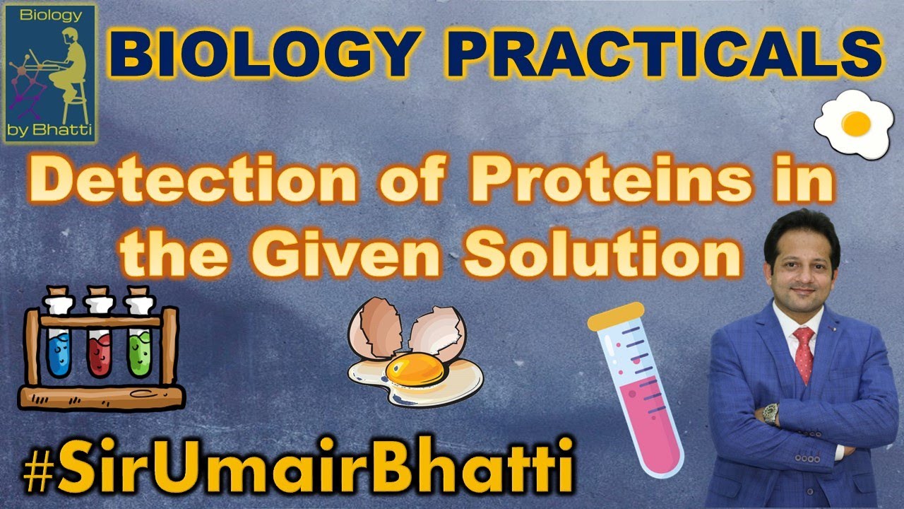 Biochemical Tests For the Detection of Proteins | F.Sc Biology ...
