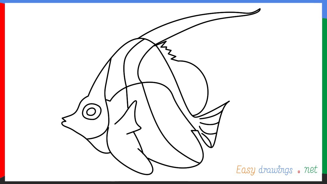 How to draw an Angelfish step by step for beginners - YouTube