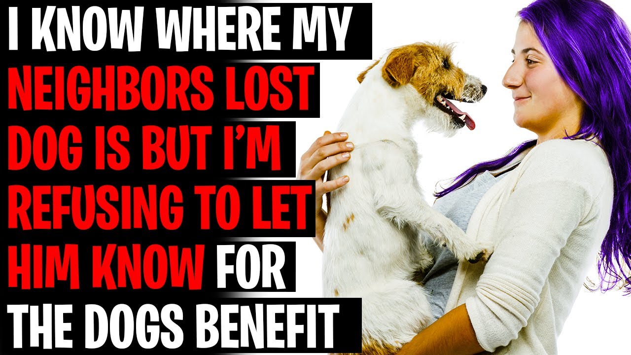 I Know Where Bad Neighbors Dog Is, I REFUSE To Let Them Know For The ...