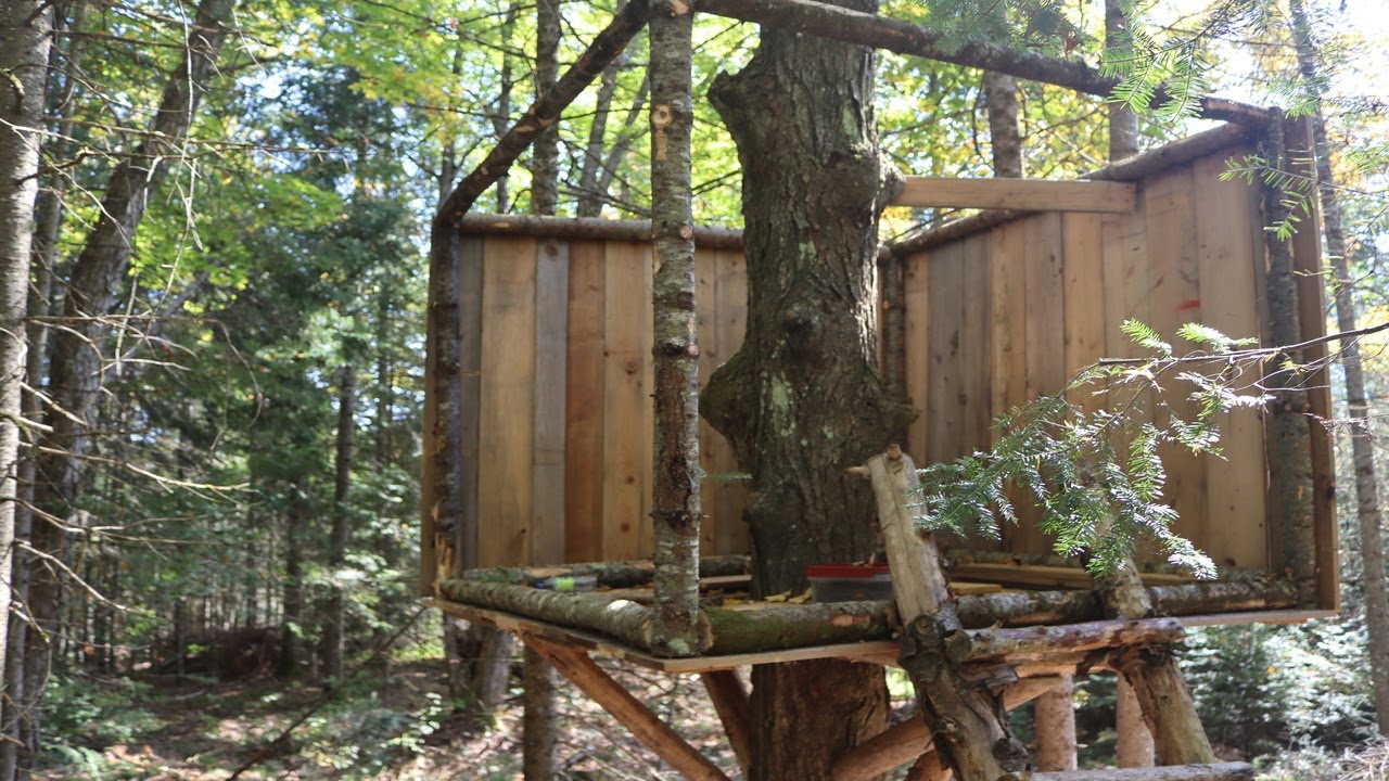 Small Off-grid Tree House: Building Walls! - YouTube